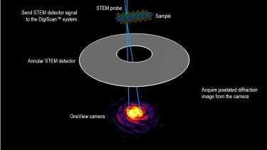 4D STEM | Gatan, Inc.